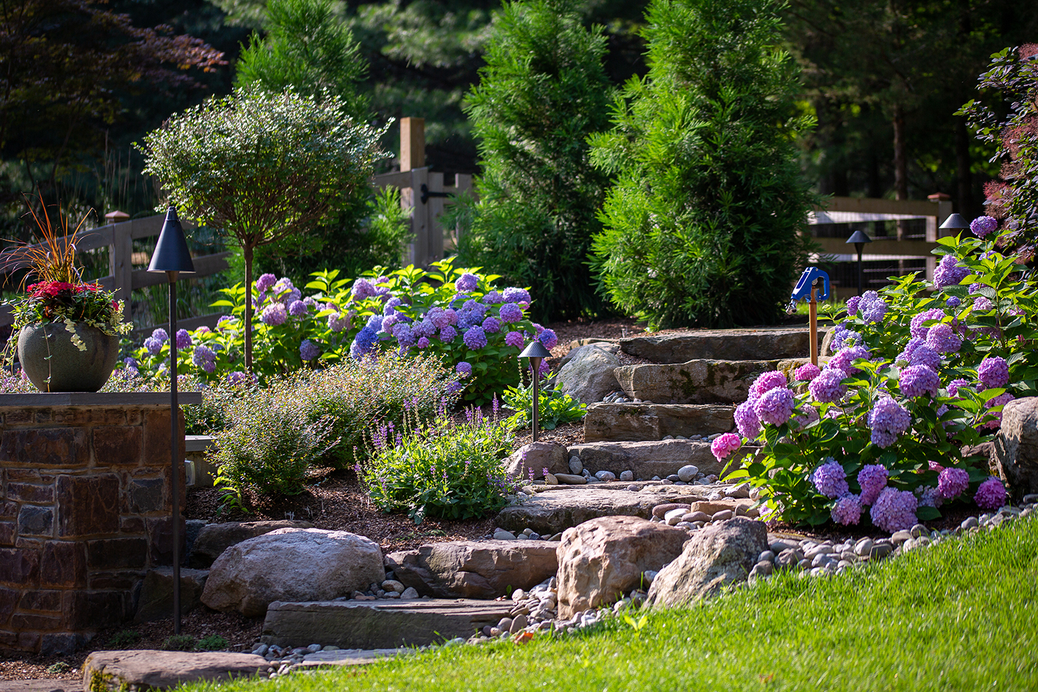 About Us | Sycamore Landscape