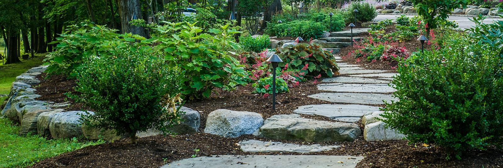 Custom Planting | Sycamore Landscape