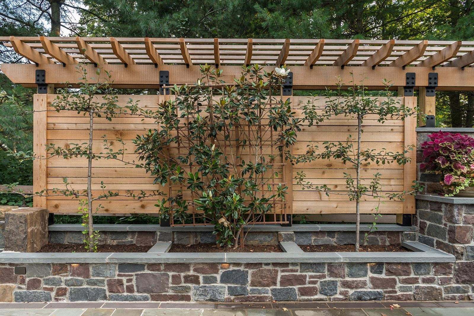 Custom Planting | Sycamore Landscape