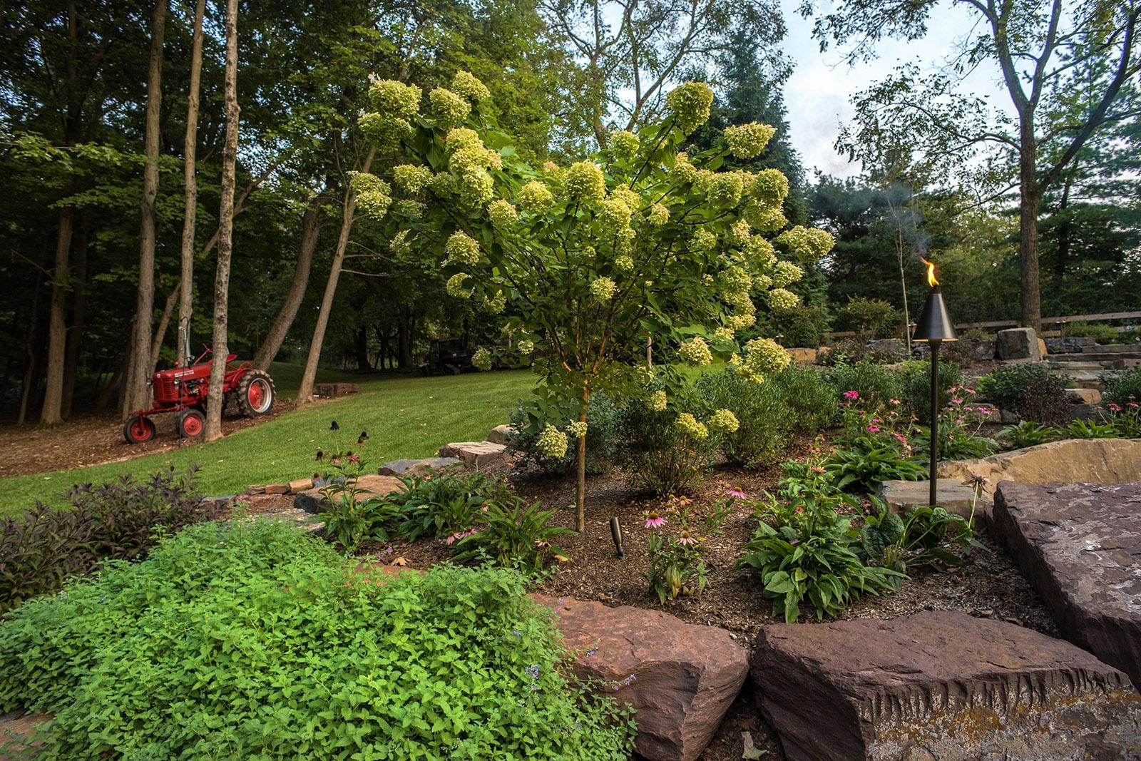 Custom Planting | Sycamore Landscape