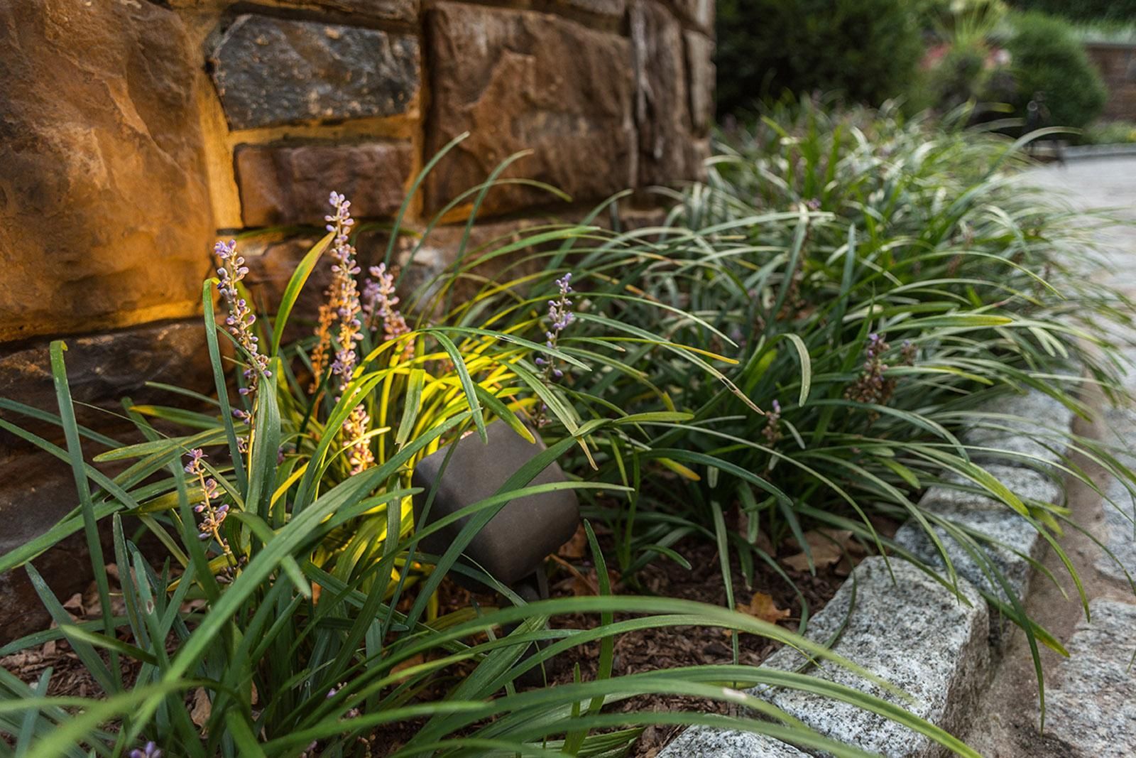 Outdoor Lighting & Audio | Sycamore Landscape